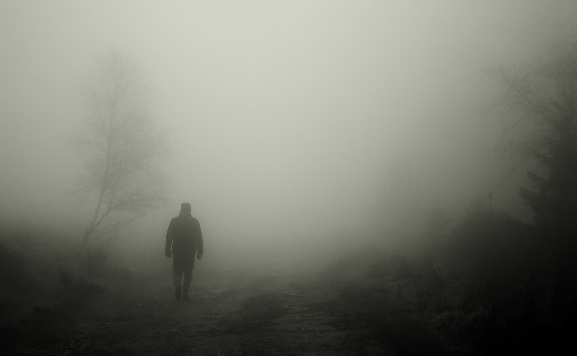 Desolación – La Ventana Ciudadana