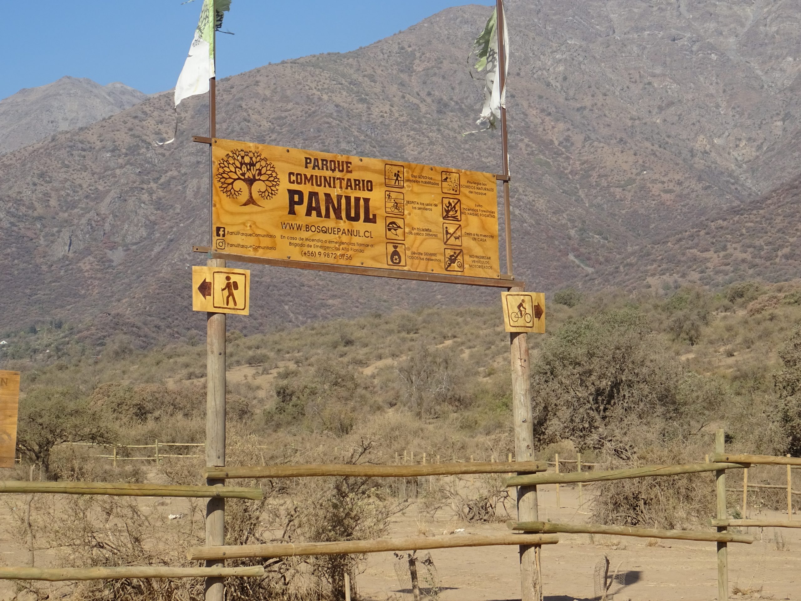 EL BOSQUE PANUL Y LA LUCHA DE UNA COMUNIDAD – La Ventana Ciudadana